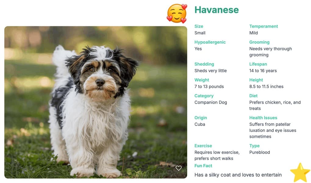 Random Dog Generator - 400+ Unique dog world!