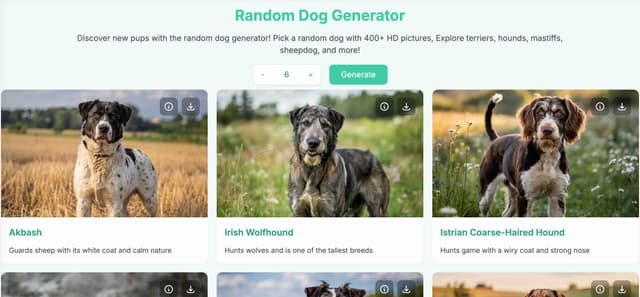 Random Animal Generator - Discover your perfect animal!