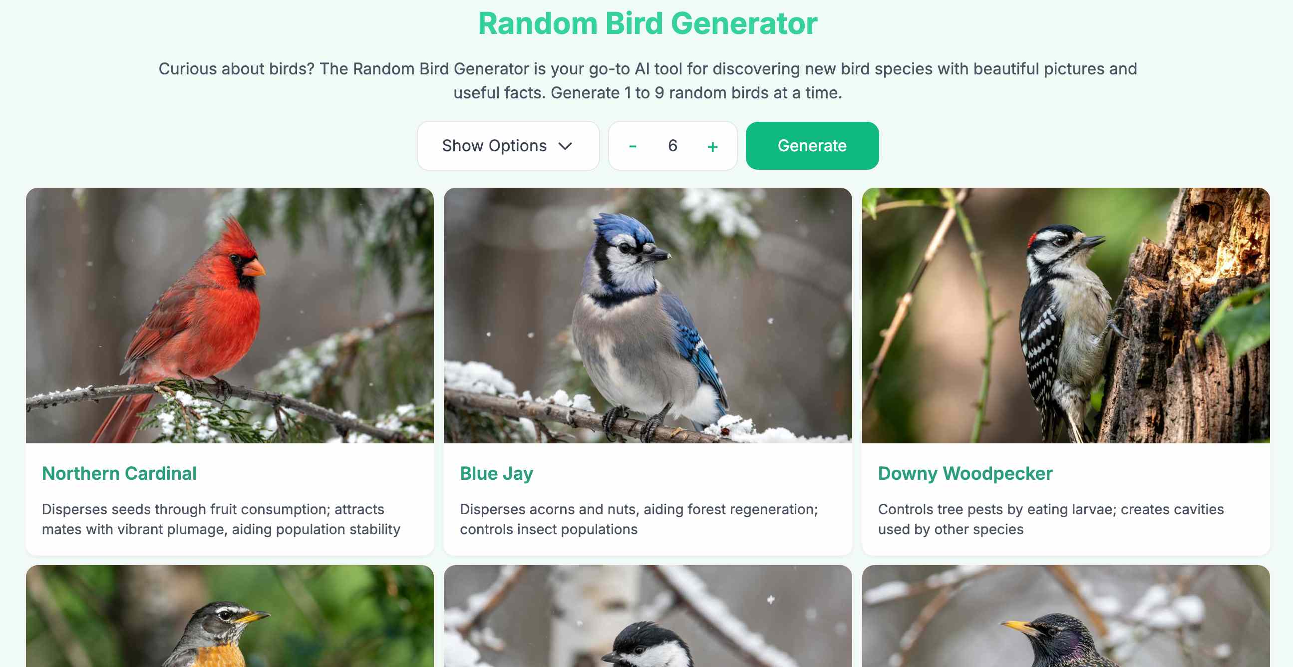 Random Bird Generator – Discover Birds with HD Pictures