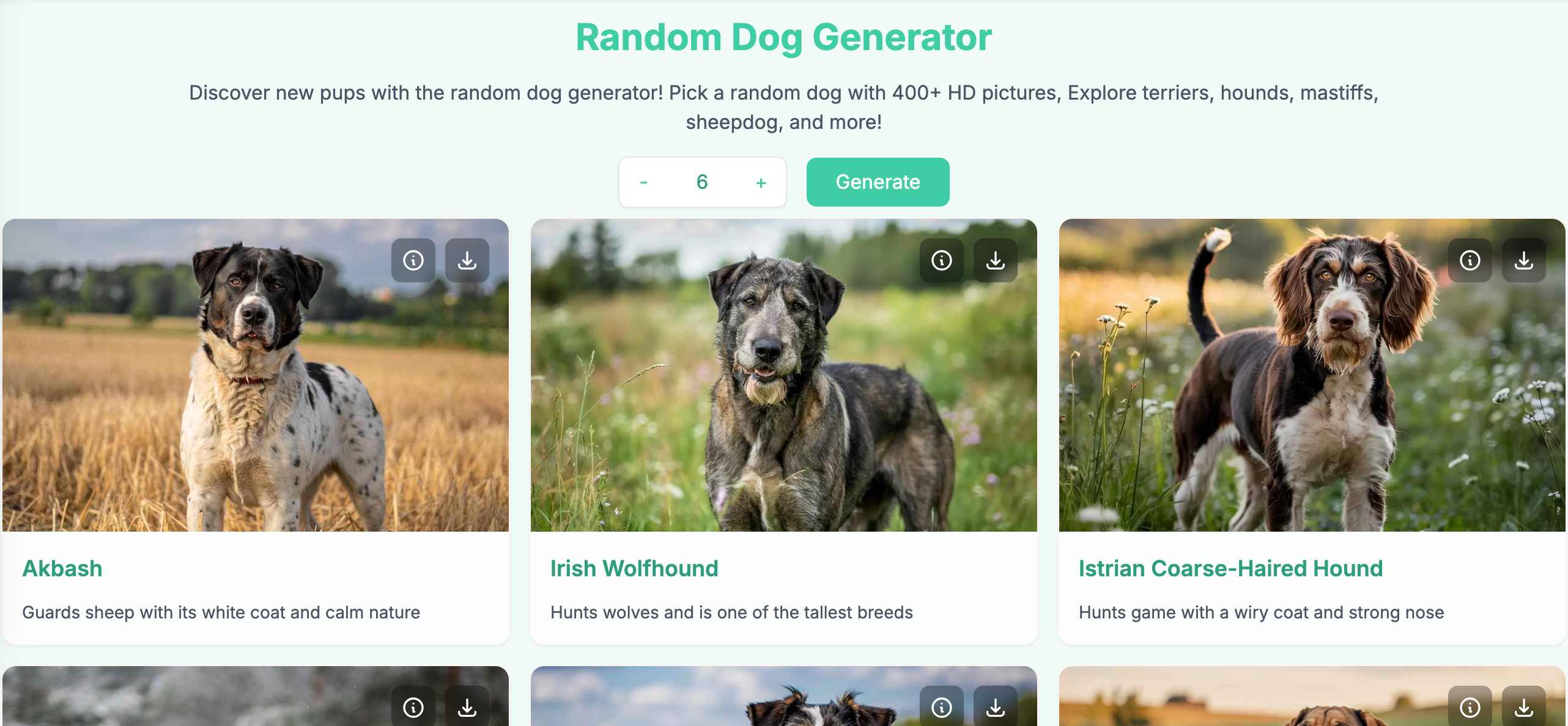 Random Dog Generator - 400+ Unique dog world!