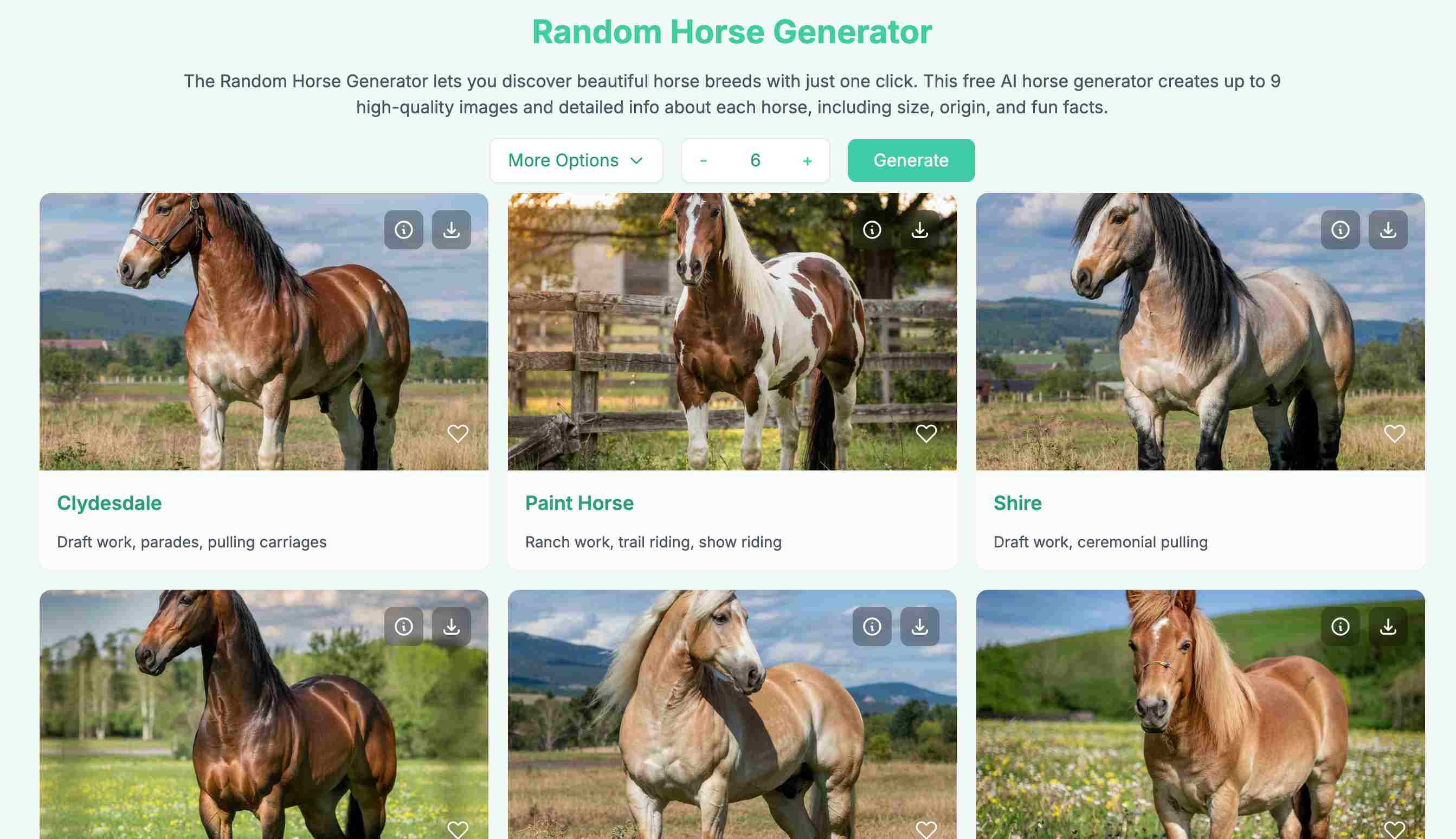 Random Horse Generator – Discover Fantasy Horses & Real Breed