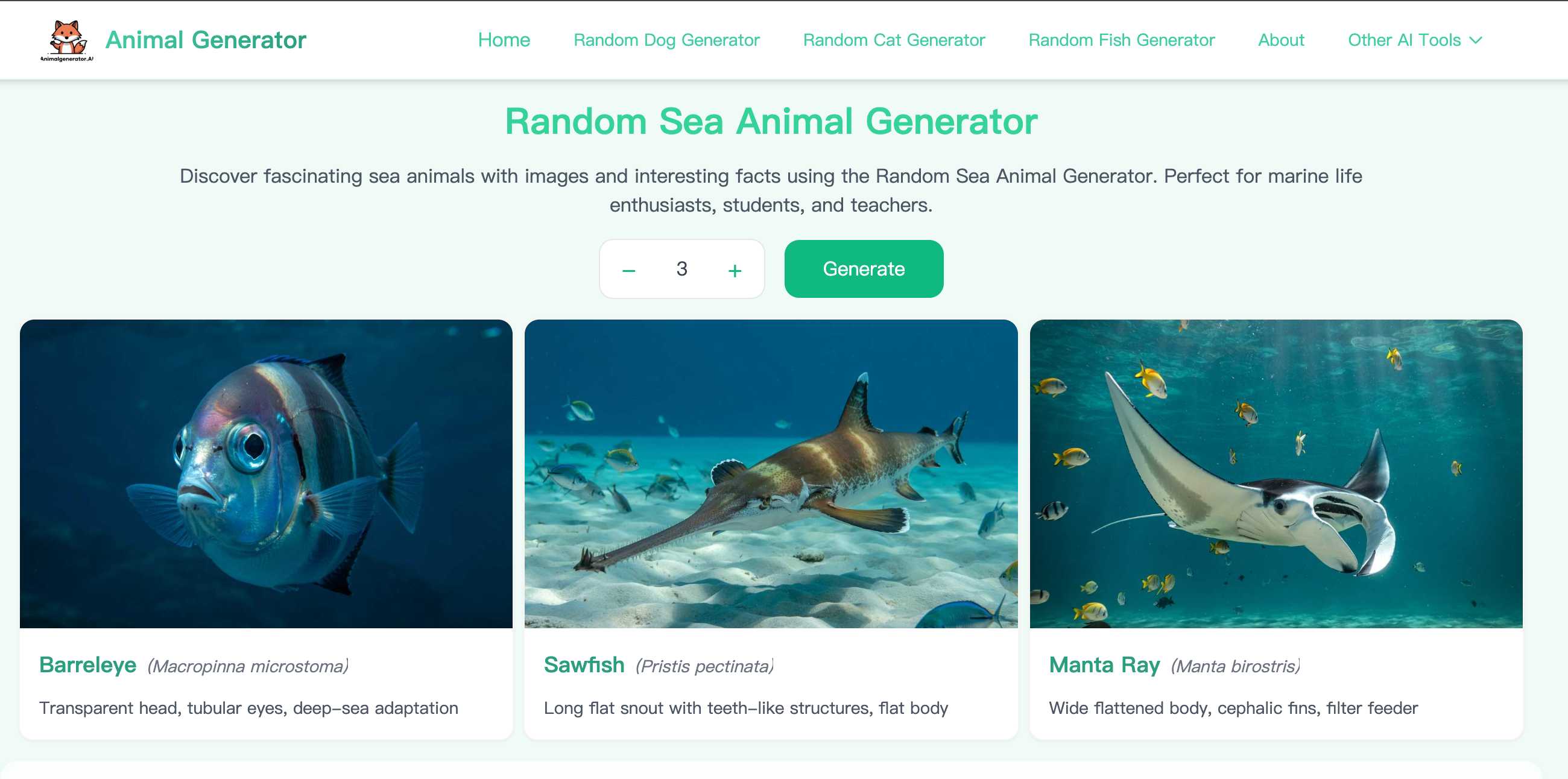 Random Sea Animals Generator – Fun Way to Learn About Ocean Creatures